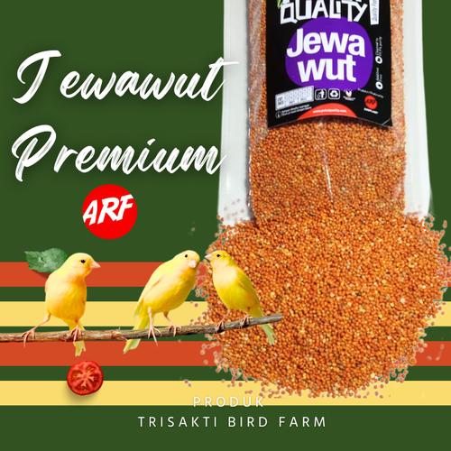Jual PAKAN BURUNG JEWAWUT 500 GR BIJI KUNYIT UNTUK BURUNG PERKUTUT ...