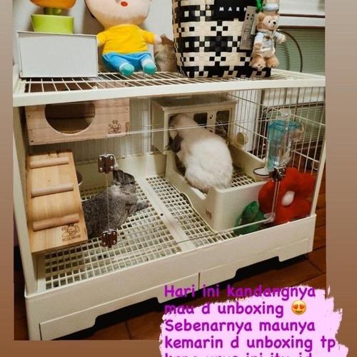Jual UMI LUXURY RABBIT CAGE L/kandang mewah kelinci/kandang kelinci ...