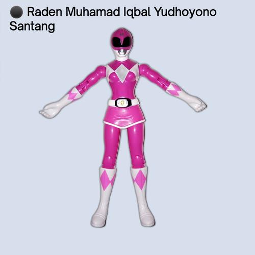 Jual Power Rangers Mighty Morphin Kyouryuu Sentai Zyuranger Pink Ranger ...