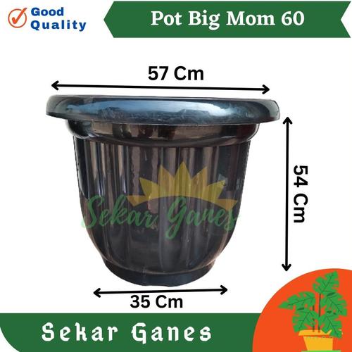 Jual SG - Pot Big Mom 60 Cm Hitam Pot Plastik Tanaman Pot Jumbo Tebal ...
