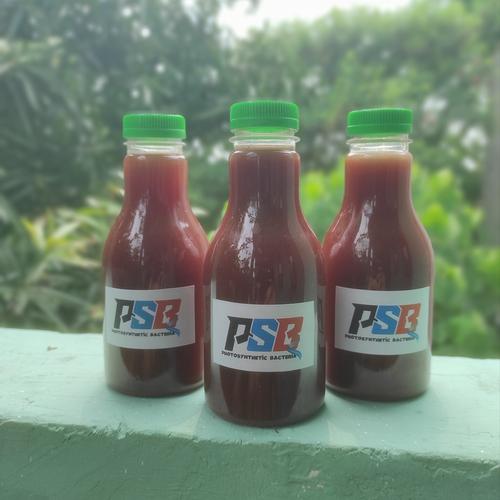 Jual Bakteri Fotosintesis PSB Pupuk Daun Organik Photosynthetic ...