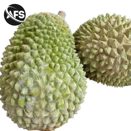 Jual BUAH DURIAN MUSANG KING NITRO BEKU | DURIAN ASLI MAlAYSIA 2 KG ...
