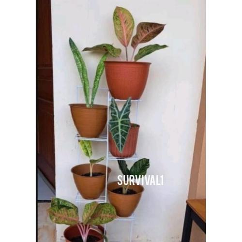 Jual Mky - STANDING POT SUSUN 6 / RAK BUNGA / RAK TANAMAN / RAK SUSUN ...
