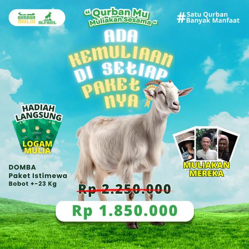 Jual Qurban Domba Kambing Tebar Semua Bisa Berqurban 20-25kg +8pcs ...