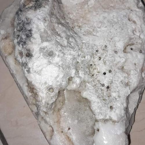 Jual ambergis muntahan ikan paus - Jakarta Timur - handzaka raja daging ...