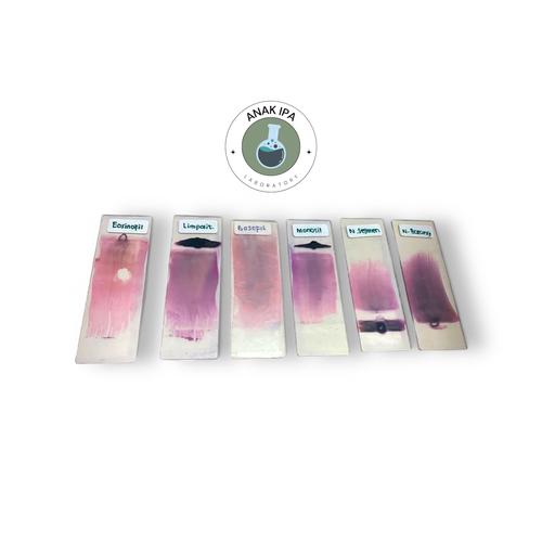 Jual Preparat Jenis Sel Lekosit / Preparat Darah Apvs (Set) - Jakarta ...
