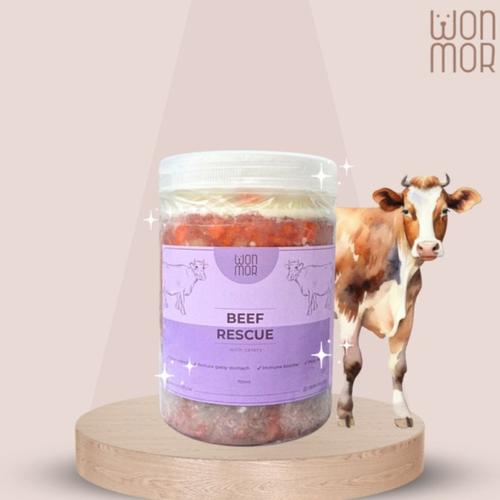 Jual BEEF RESCUE - WONMOR Cooked Meal for Dog (700ml) - Kab. Tangerang ...