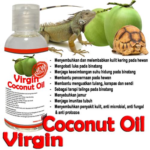 Promo VCO Virgin coconut oil hewan kucing kura sulcata tortoise reptile ...