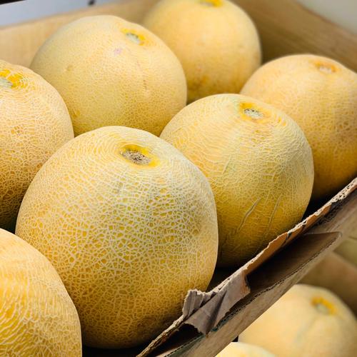 Jual Melon Kuning segar - Dunia Buah - 1/2 bagian - Kota Bandung ...