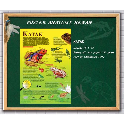Jual Poster Anatomi Hewan (Katak) - Jakarta Selatan - Rumah Peraga ...