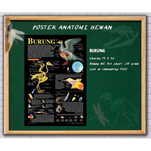 Jual Poster Anatomi Hewan (Burung) - Jakarta Selatan - Sarana Peraga ...