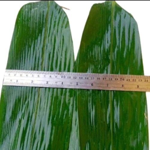Jual Daun bambu lebar 10-12 cm,daun bacang bakcang daun bambu ...