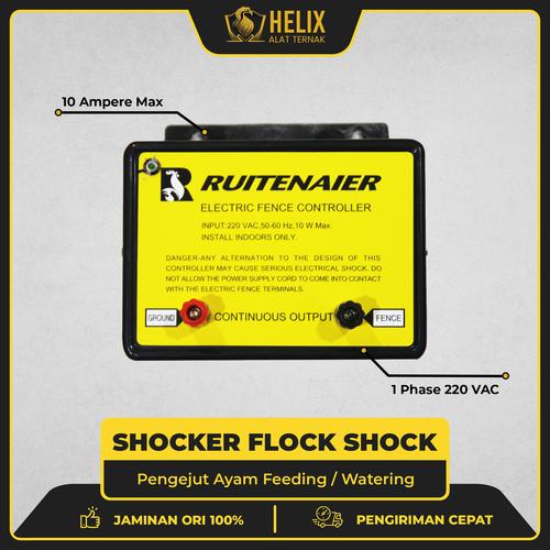 Jual Ruitenaier Shocker Flock Shock Pengejut Ayam Broiler Kampung ...