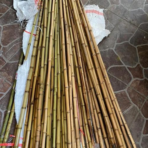 Jual bambu bendera merah putih - Kota Semarang - SIAPAKIRA 51 | Tokopedia