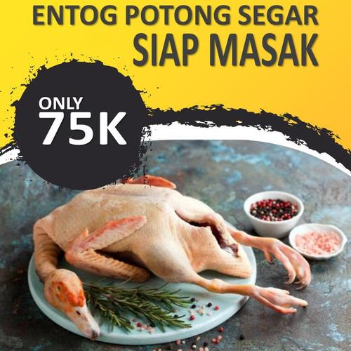 Jual Entok Potong Fresh Daging Entog Bebek Entok Nila Potong Atau Hidup ...