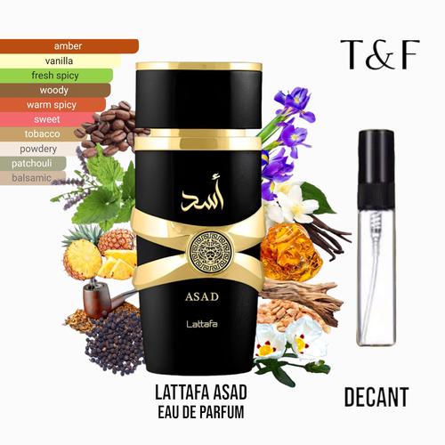 Jual Parfum Lattafa Asad - Kab. Bantul - T&F Decant Perfume | Tokopedia