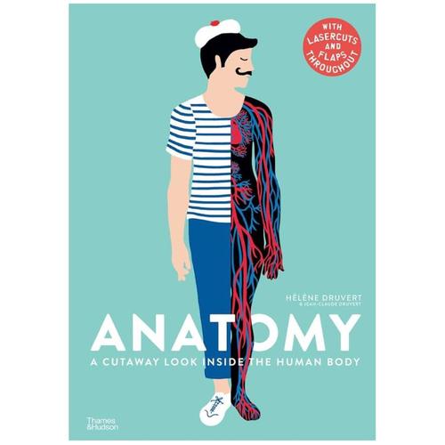 Jual Anatomy: A Cutaway Look Inside the Human Body by Jean-Claude ...