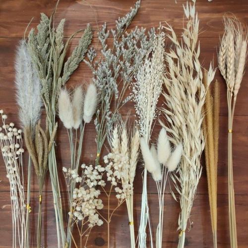 Jual Long Dry Flowers - Bunga Kering Tangkai Panjang (1pack) - PADI ...