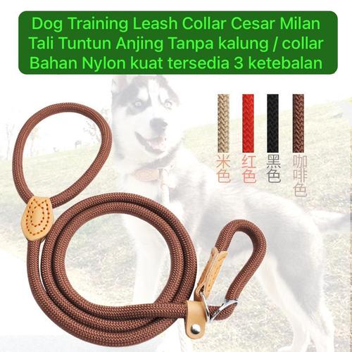 Jual Dog Slip Leash PREMIUM Import CESAR MILAN Tali Tuntun Anjing Nylon Dog Leash AVR-YW-0348 ...