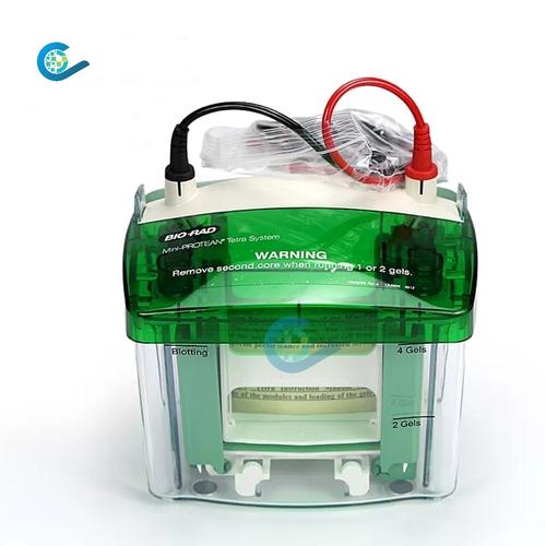 Jual Bio-Rad Mini-PROTEAN Tetra Cell#1658001 Vertical Western Blot ...