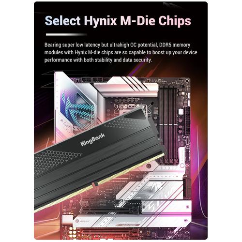 Jual RAM DDR5 32GB (16GBx2) 6000Mhz Dual Channel Longdimm PC KingBank ...
