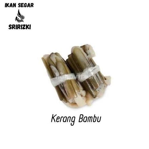 Jual Original Kerang Bambu Segar - 1kg Original - Jakarta Barat - Layiz ...
