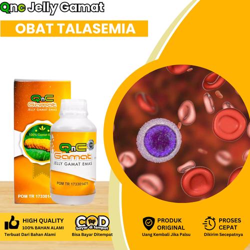Jual Obat Talasemia, Penyakit Talasemia, Obat Thalasemia Minor - Kab ...