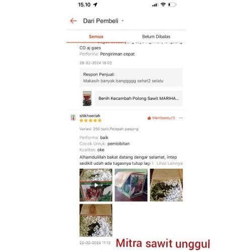 Jual _ MACAM2 BENIH SAWIT PPKS UNGUL ASLI MEDAN ISI 250 DAN 150 BUTIR ...