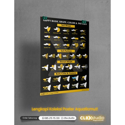 Jual Poster GUPPY PART 1 - EDUKASI GUPPY (Poster A3) - Kota Makassar ...