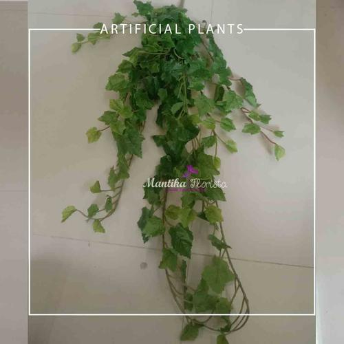 Jual tanaman juntai artificial Kualitas Premium - Hijau coklat ...