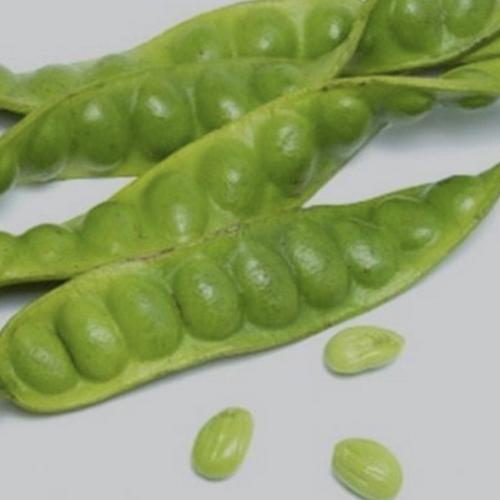 Jual Petai - Jakarta Pusat - KangSayurMenteng | Tokopedia