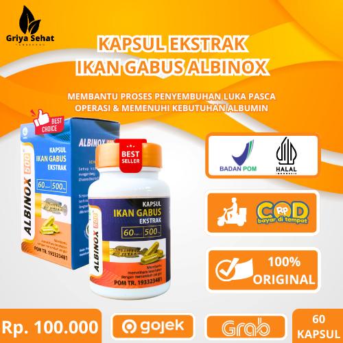 Jual Suplemen Penyembuh Luka Albumin Albinox Kapsul Ekstrak Ikan Gabus ...