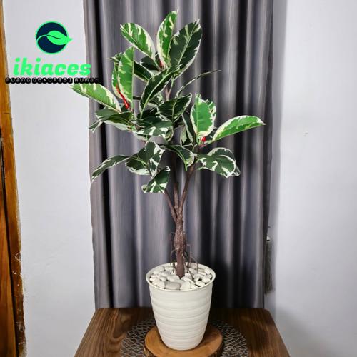 Jual DAUN KELADI ARTIFISIAL JUMBO DAUN KELADI PLASTIK BUNGA HIAS PALSU ...