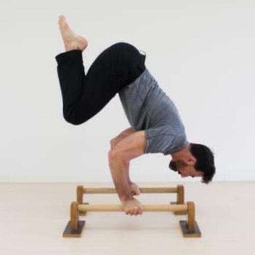 Jual Dps Alat Handstand Wooden For Push Up/Paralletes For Push Up ...