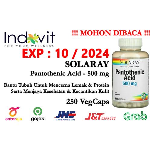 Jual Solaray Pantothenic Acid 500mg 250 VegCaps Lancarkan Metabolisme ...