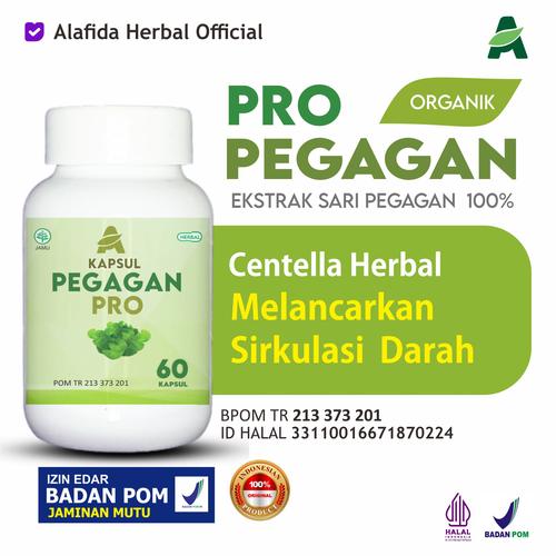 Jual PEGAGAN PRO ekstrak pegagan centella asiatica - Membantu sirkulasi darah - isi 60 kapsul ...