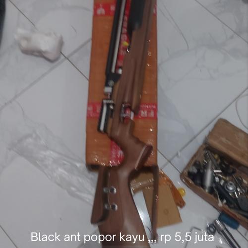 Jual Black ant popor kayu speck laras lokal popor kayu mangga hutan ...
