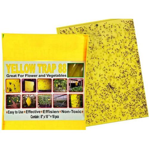 Jual YELLOW TRAP Lembaran TERMURAH perangkap SERANGGA LALAT hAMA Buah ...