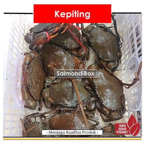 Jual Kepiting Bakau Hidup | Super - Isi 5 - Kota Bekasi - SalmondiBox ...