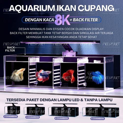 Jual Soliter Cupang Tempat Kaca Aquarium + Filter Sekat Set Akuarium ...