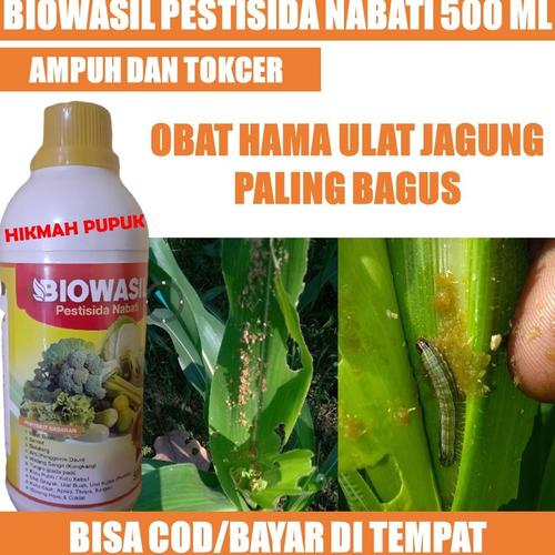 Jual BIOWASIL PESTISIDA PALING LARIS HAMA ULAT JAGUNG, SAWI, KUBIS, MENTIMUN Obat Hama Ulat ...