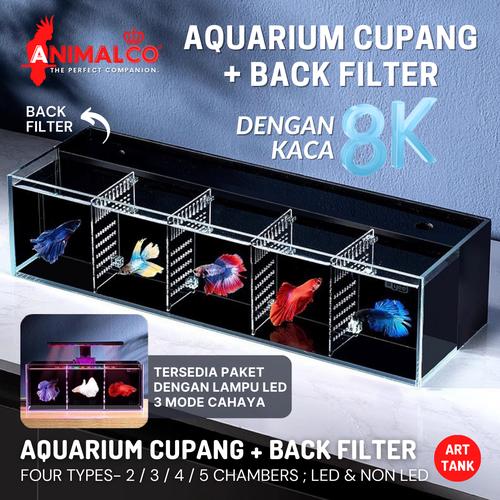 Jual Soliter Aquarium Kaca Tempat Cupang + Filter Ikan Mini Sekat Set ...