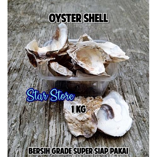 Jual Oyster Shell Kulit Kerang Bersih Media Penjernih Filter Air Kolam ...