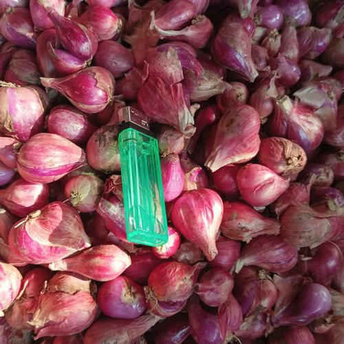 Jual bawang merah super istimewa 1 kg - Kab. Rembang - good iyon ...