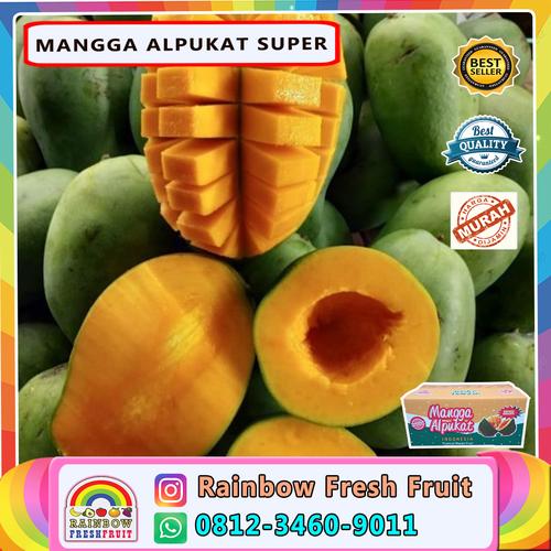 Jual MANGGA ALPUKAT 1 DUS MANIS MASAK POHON ORIGINAL TERBAIK - Kota ...