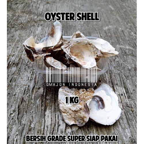Jual Oyster Shell Bersih 1kg Media Filter Penjernih Air - Batu Kerikil ...
