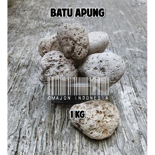 Jual Batu Pumice Batu Apung Pori 1kg Media Filter Penjernih Air - Bio ...