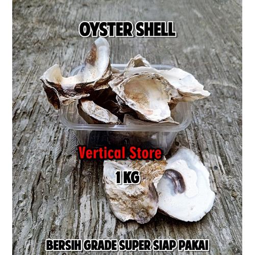 Jual Kulit Kerang Oyster Shell Bersih 1kg Media Penjernih Filter Air ...