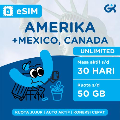Jual eSIM Amerika T-Mobile Call SMS & Data | SIM America USA Mexico ...