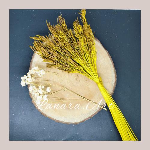 Jual Aneka Rumput Gliter (Varian 2) - Jenis 7 kuning - Jakarta Barat ...